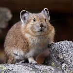 How do you teach children about climate change? | Nat Geo Kids