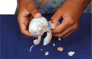 How to make alien eggs! - National Geographic Kids