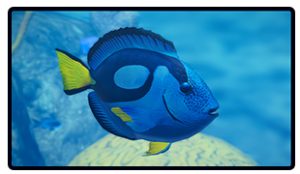 Endless Ocean Luminous - National Geographic Kids