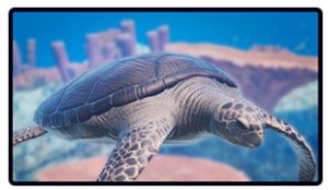 Endless Ocean Luminous - National Geographic Kids