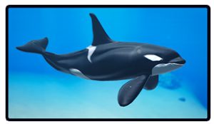 Endless Ocean Luminous - National Geographic Kids