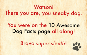 Dog facts for kids! | National Geographic Kids