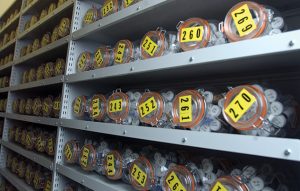 All about Kew's Millennium Seed Bank! - National Geographic Kids