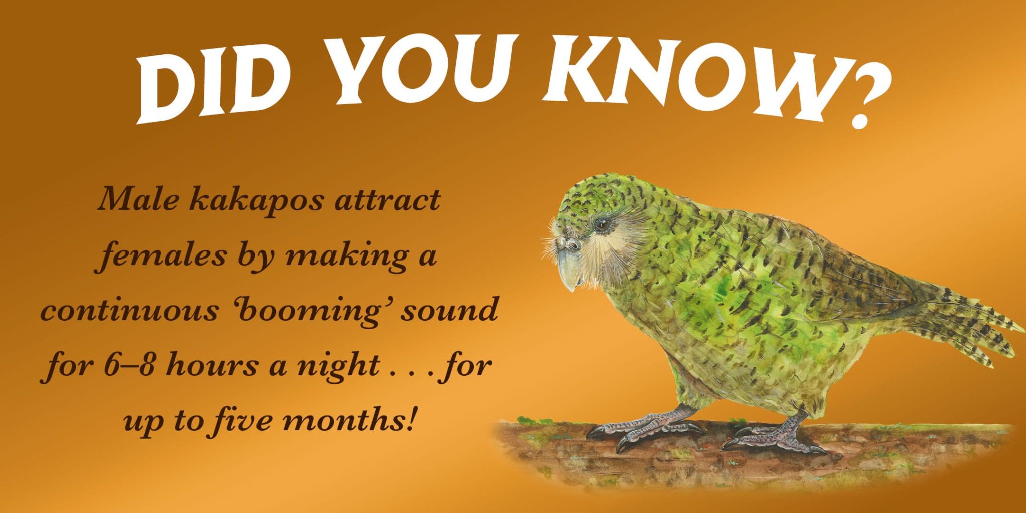 The Illustrated Encyclopaedia of Extinct Animals - National Geographic Kids