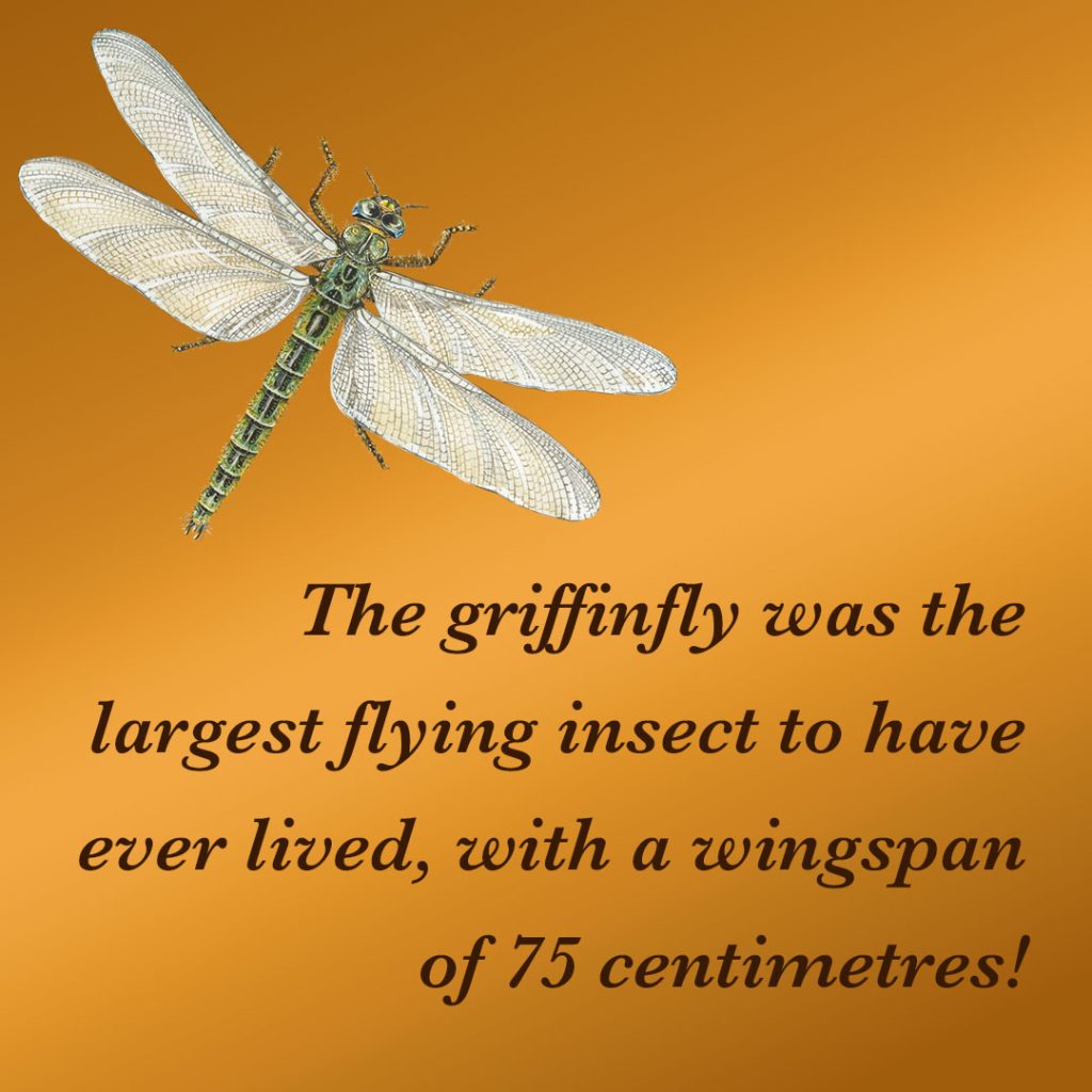 The Illustrated Encyclopaedia of Extinct Animals - National Geographic Kids