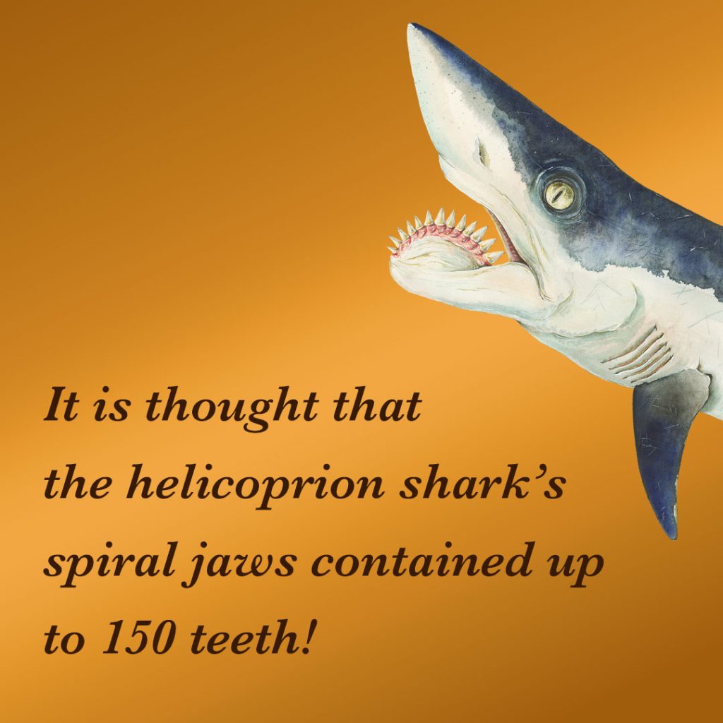 The Illustrated Encyclopaedia of Extinct Animals - National Geographic Kids