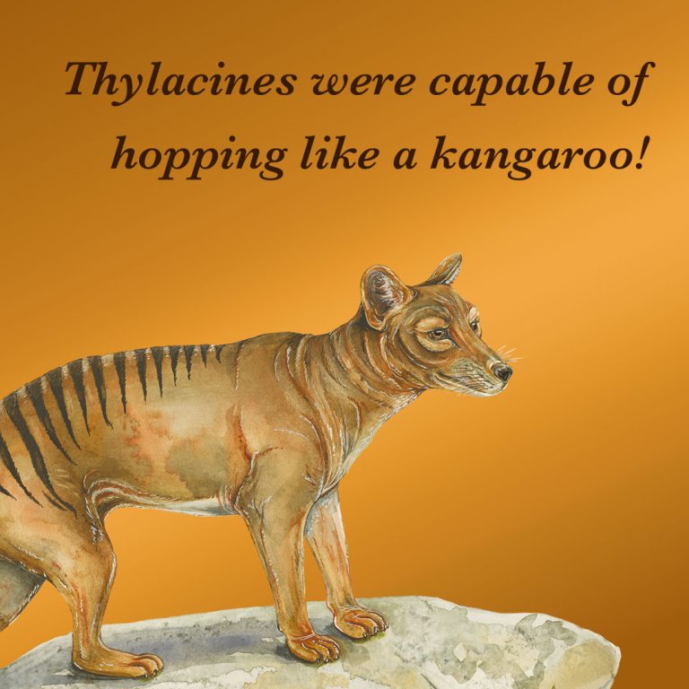 The Illustrated Encyclopaedia of Extinct Animals - National Geographic Kids