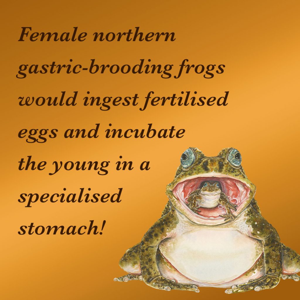 The Illustrated Encyclopaedia of Extinct Animals - National Geographic Kids