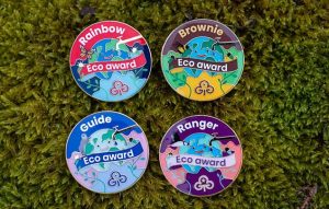 Girlguiding's new Eco award! - National Geographic Kids