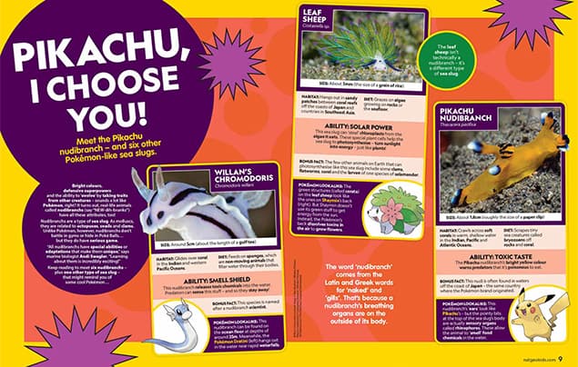 Get quizzing with Nat Geo Kids issue 133! - National Geographic Kids