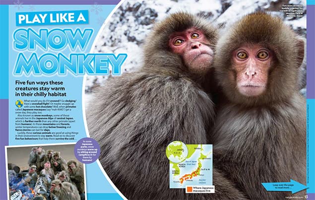 Get quizzing with Nat Geo Kids issue 133! - National Geographic Kids