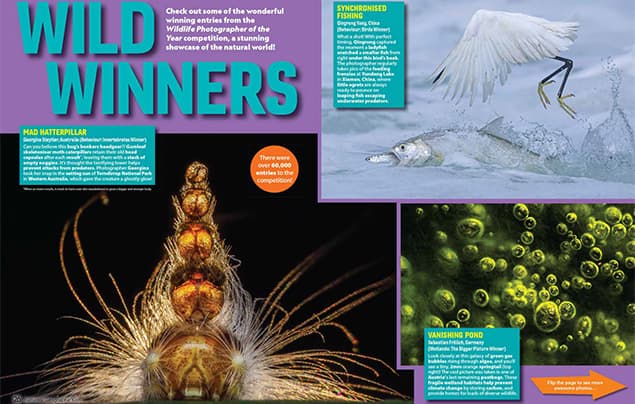 Get quizzing with Nat Geo Kids issue 133! - National Geographic Kids