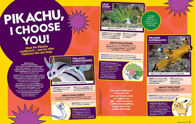 Get quizzing with Nat Geo Kids issue 252! - National Geographic Kids