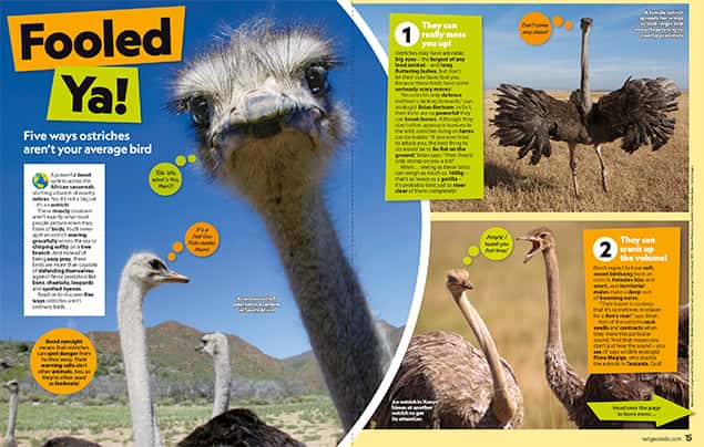 Get quizzing with Nat Geo Kids issue 135! - National Geographic Kids